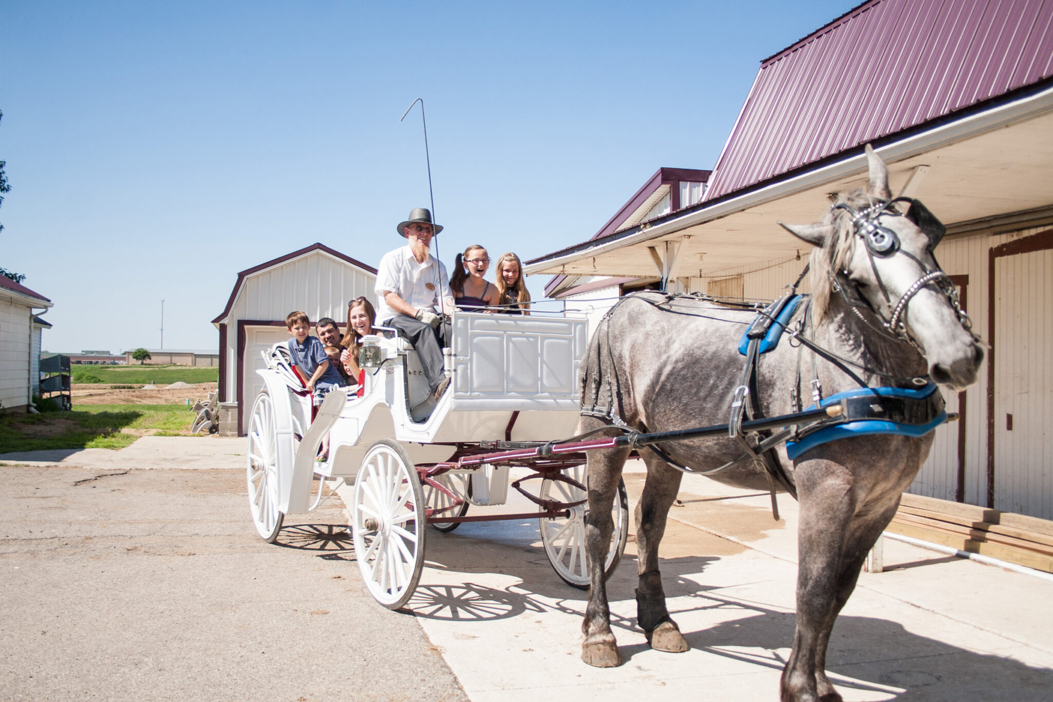 Amish Buggy Rides: The Best Way to Enjoy Shipshewana - Blue Gate ...