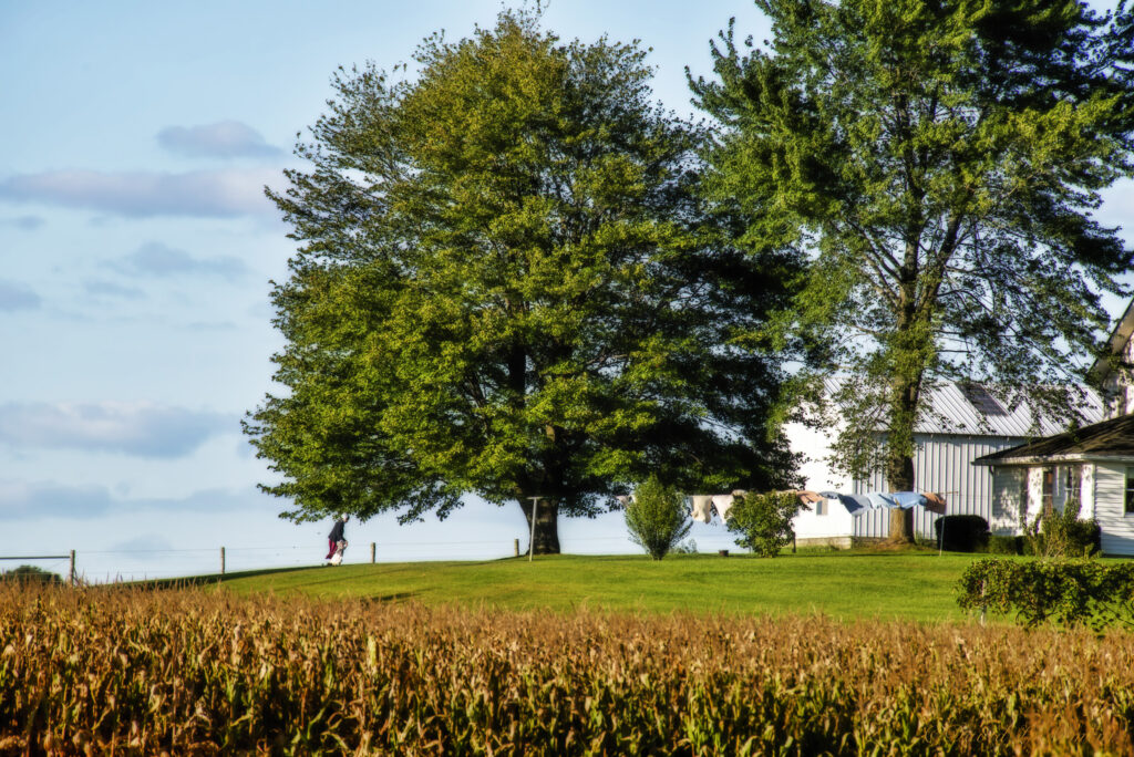 History of Amish | Blue Gate Hospitality Blog